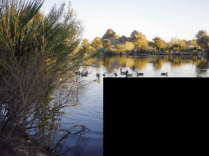 Types of Hemianopias - Emianopsia