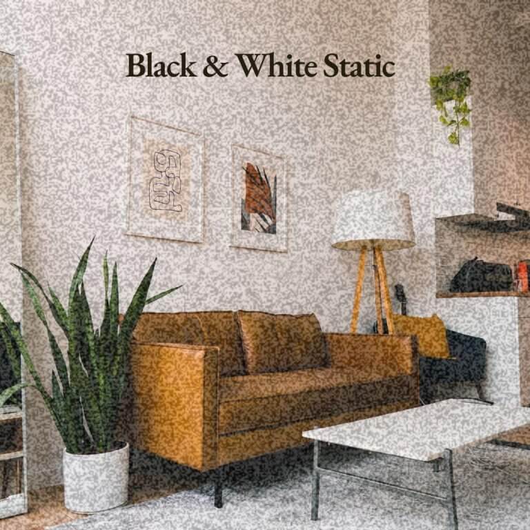 Visual snow syndrome: the visual approach - Emianopsia